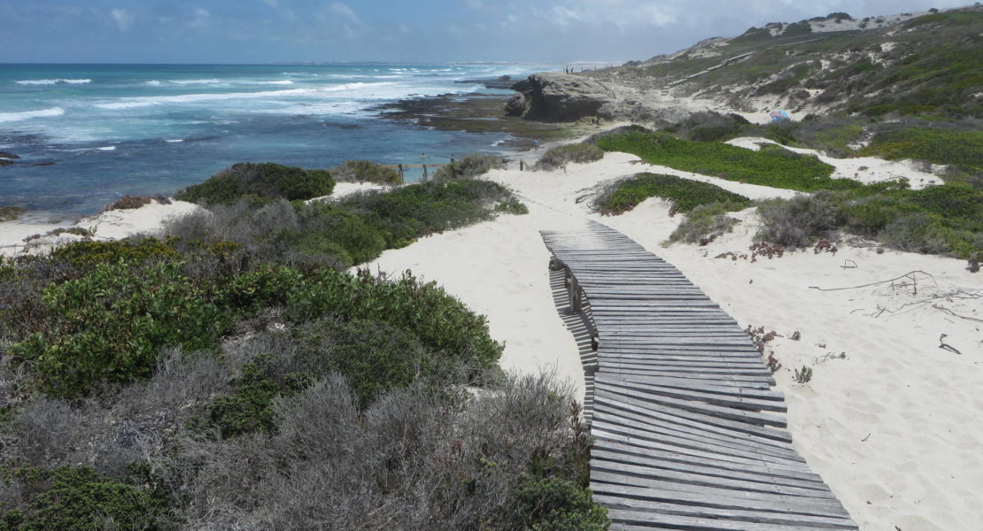 De Hoop Nature Reserve – holprige Anfahrt | Mein Reisekoffer